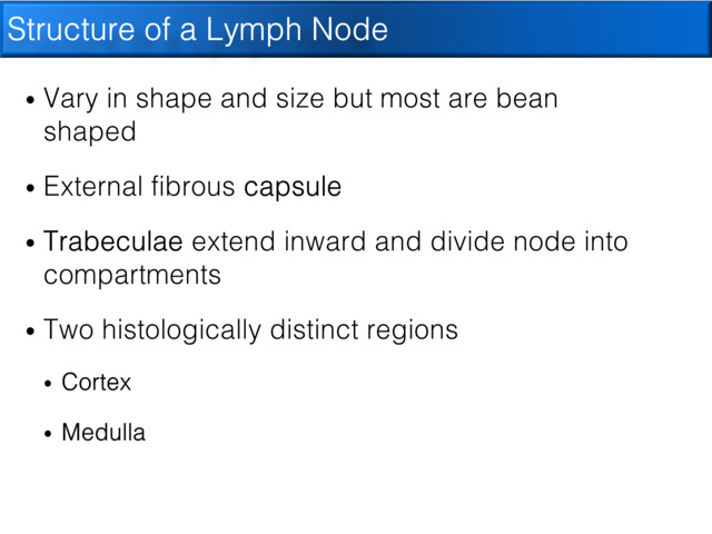 Lymph Nodes