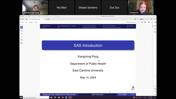 SAS intro Summer 2024