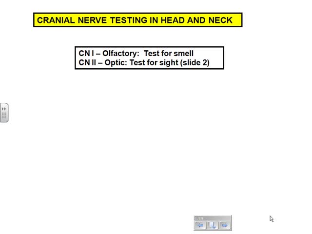 Cranial Nerve Testing