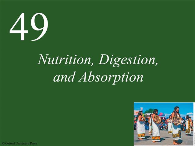 Nutrition Digestion and Absorption Biol223