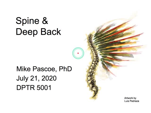 Spine & Deep Back