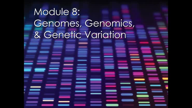 Module 8 Part 1_default