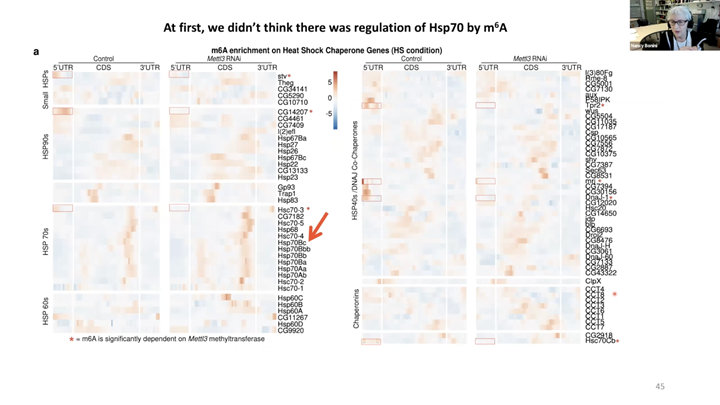 Nancy Bonini- 09/21/2022