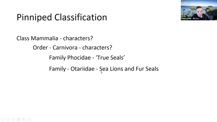 Dawn Goley - Bio Faculty - (she,her)'s Personal Meeting Room