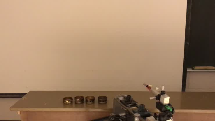 6D20.50 - Diffraction - Crossed Screens