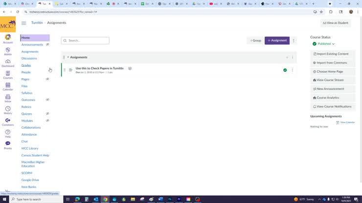Assignment Placeholder