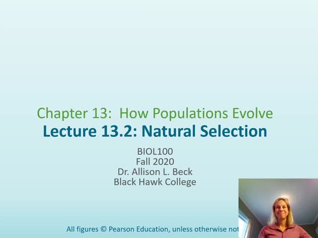 Lecture 13.2: Natural Selection