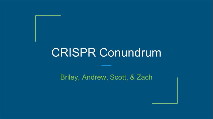 Scott, Briley, Zach, and Andrew - final video