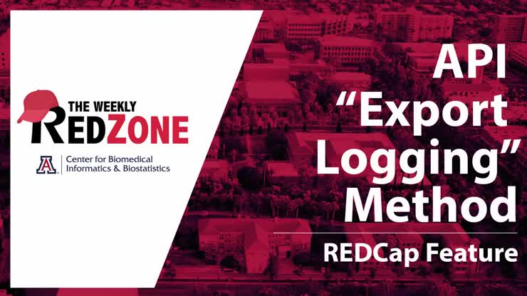 redzone_api_export_logging