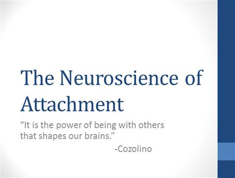The Neuroscience of Attachment
