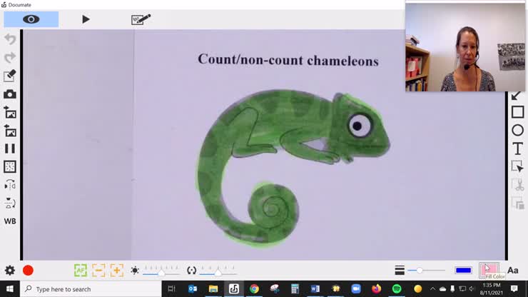 Count/Non-count Chameleon intro