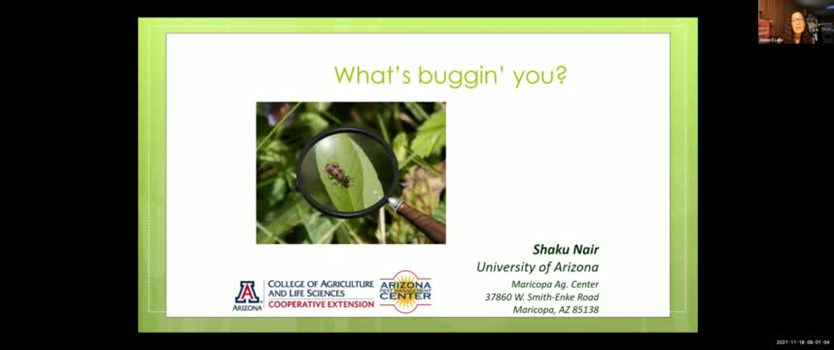 2022 MG Entomology Insect Key Dawn Gouge