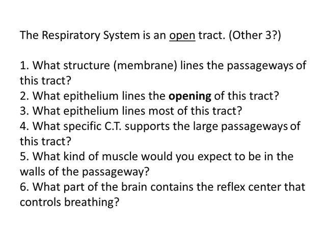 Respiratory Video 1