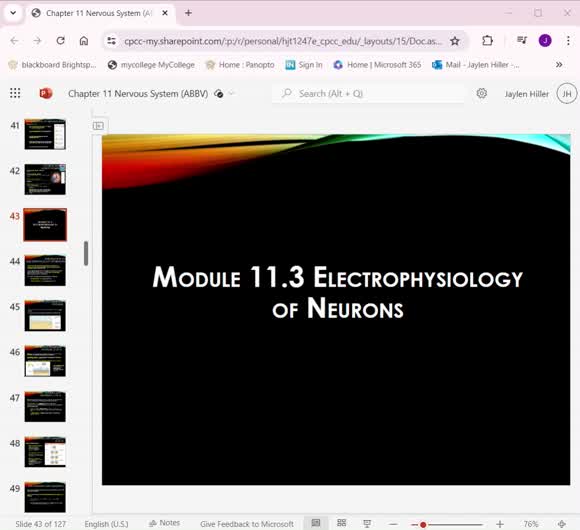 Chapter 11 Nervous System pt 2