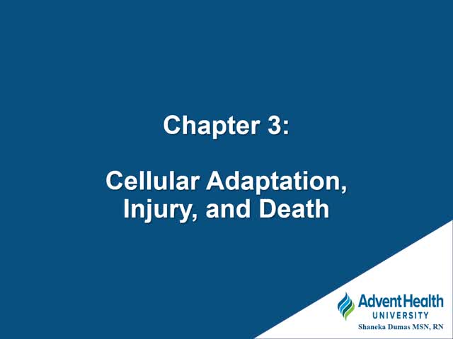 Module 1 Pre-Recorded Lecture