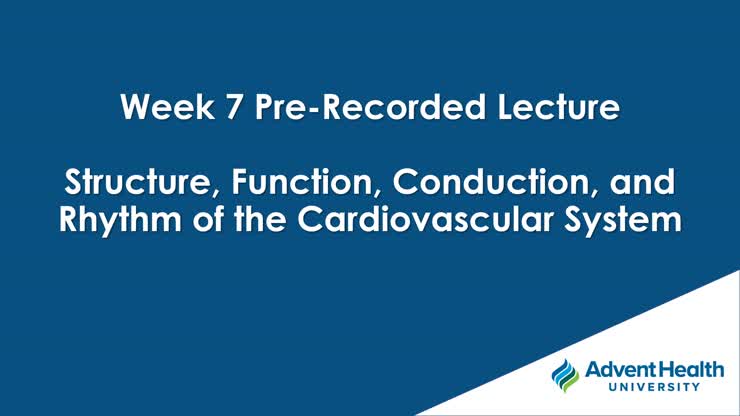 Week 7 Pre-Recorded Lecture