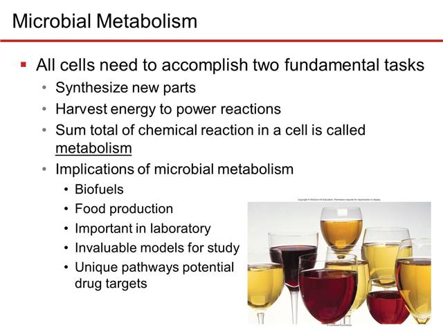 Ch. 6 Microbial Metabolism Part I