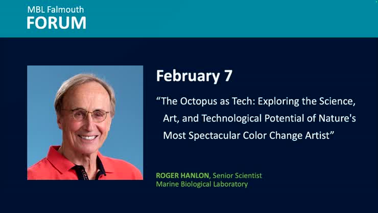 MBL Falmouth Forum: "The Octopus as Tech: Exploring the Science, Art ...