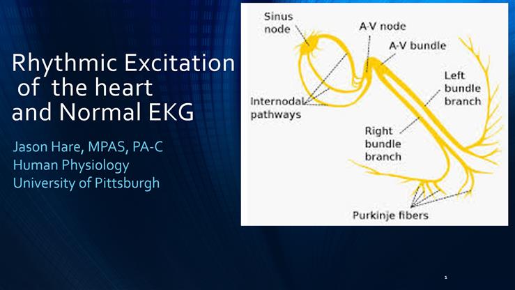 Lecture #14: Rhythmic Excitation of the Heart and Normal EKG