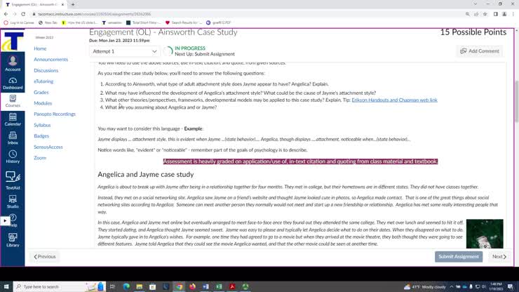 Week 3 - Assignment Check In /Overview