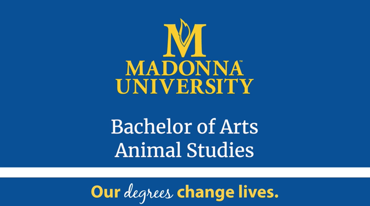 Animal Studies