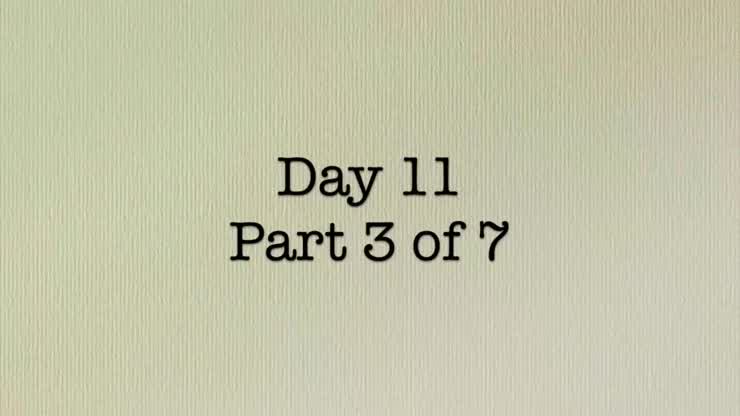 Day 11 Part 3
