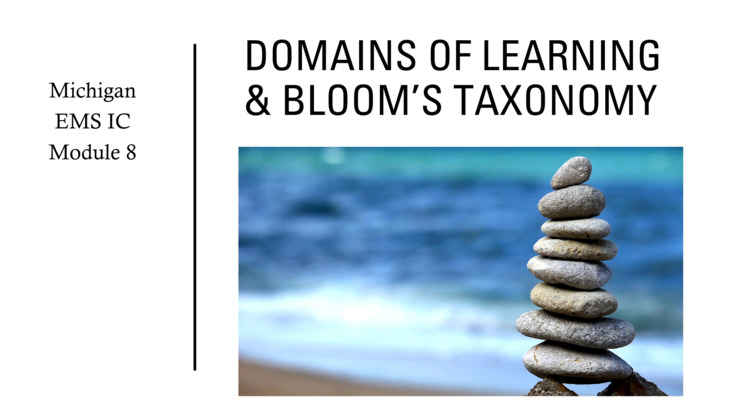 W4 Module 8 Domains of Learning