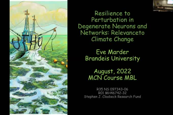 Eve Marder: resilience in degenerate networks