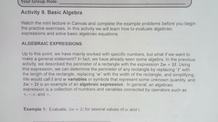 Math 100 - Activity 9 - Basic Algebra