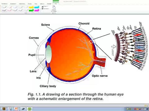 Bio 264 Video Eye_Retina_Rhodopsin I