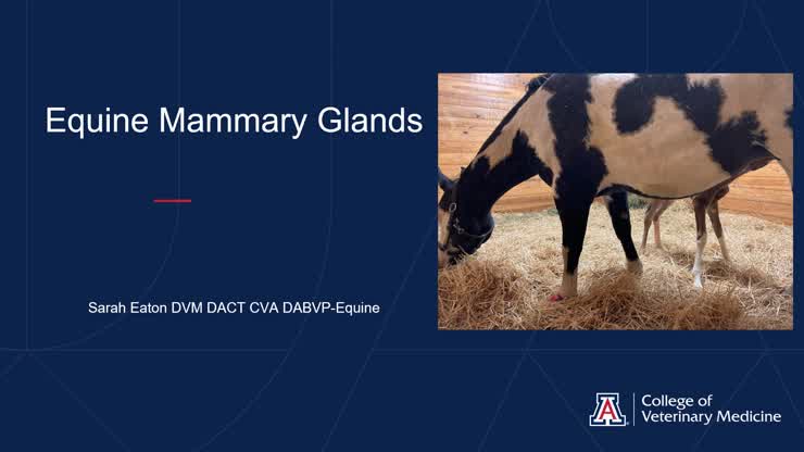 Mastitis and Agalactia