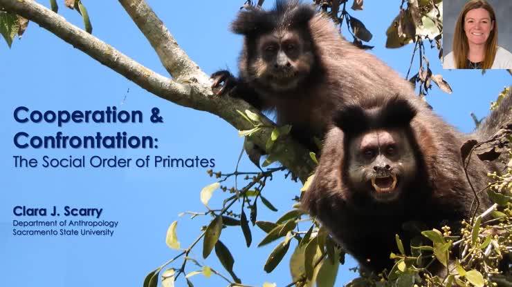 STEM Scholars Lecture Cooperation and Confrontation The Social Order of ...