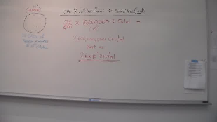 Pre-Lab_Viable Cell Count_Part Two