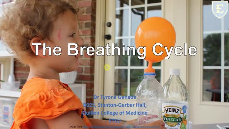 09 breathing cycle edt 17Jan23b