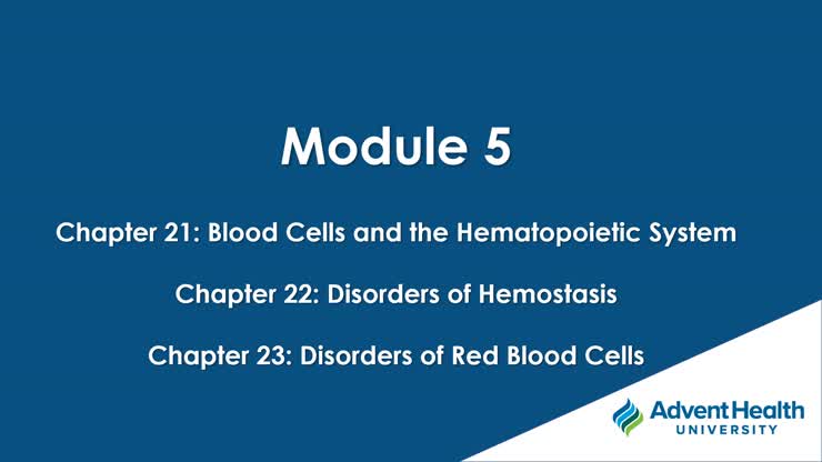 Module 5 Pre-Recorded Lecture
