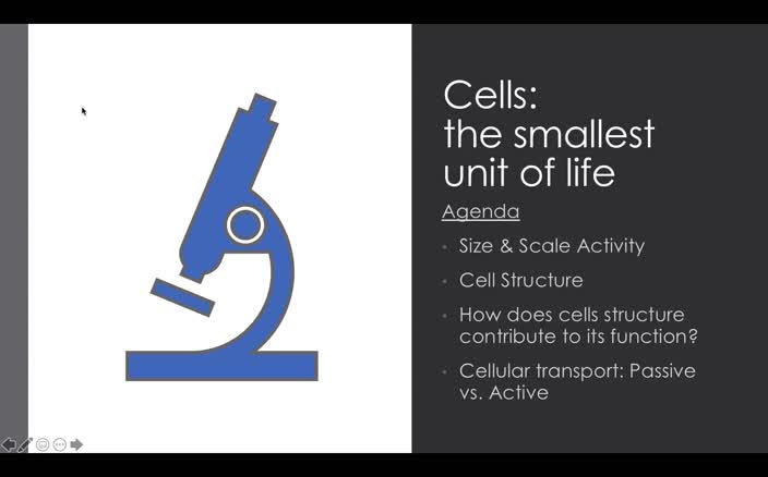 Lec 3- Cell Structure and Function (part 1)