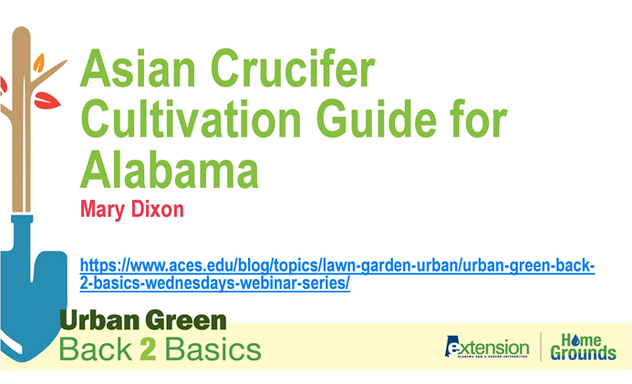 Back 2 Basics 20201014 Asian Crucifer Cultivation Guide for Alabama