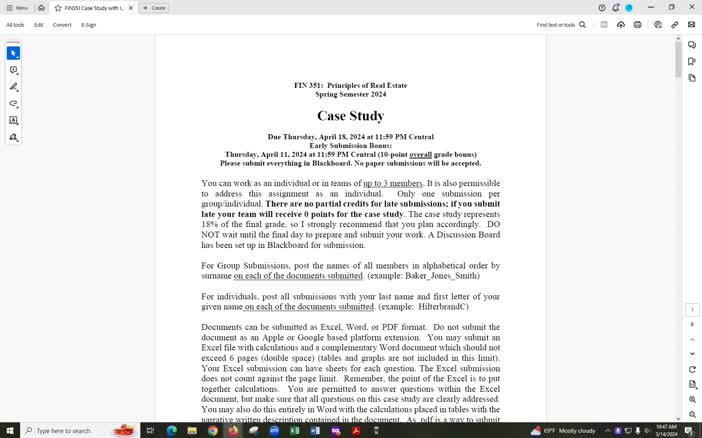 Case Study Spring 2024 Instructions