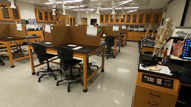 Mock Practical 1_AandP_2021