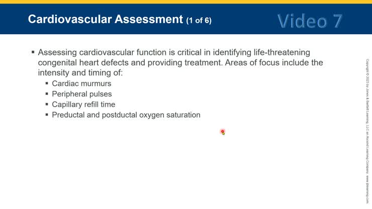 7. Cardiovascular Assessment