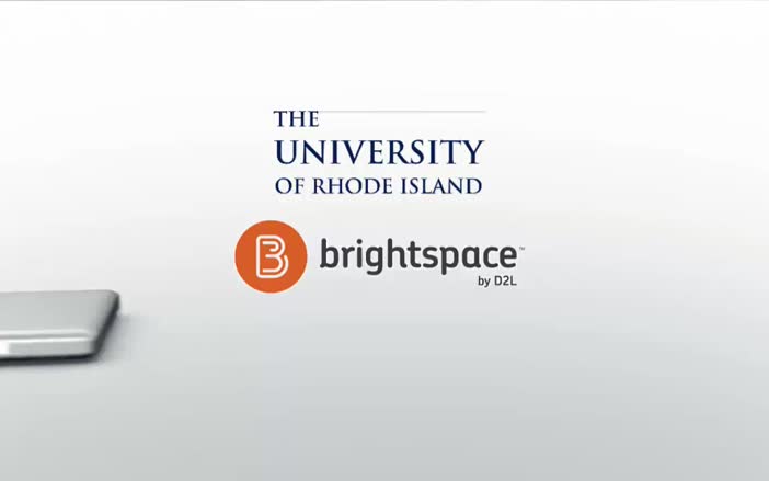 New Brightspace Assignment Interface