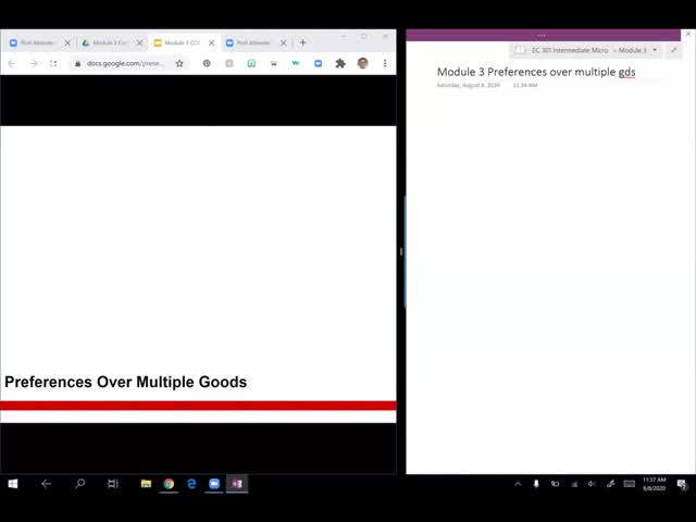 Module 3 Preferences Over Multiple Goods