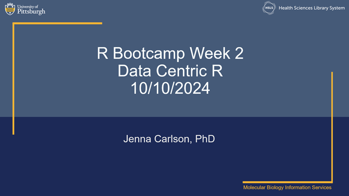 R-Bootcamp_Week2_20241010_Public
