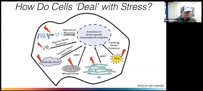 Luke Wiseman- 09/06/2023