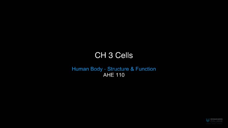 Ch 3 Cells