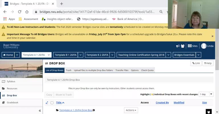 Organizing Your Course Online