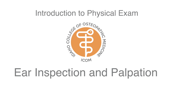 Ear Inspection and Palpation