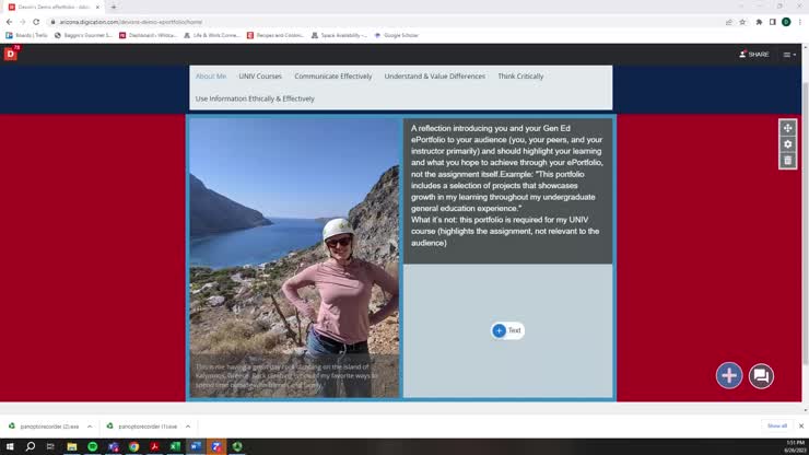 How to add an introduction to your ePortfolio