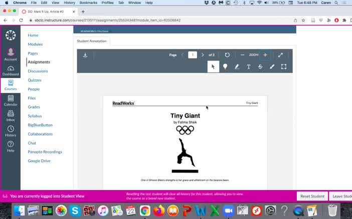 Student Annotation in Canvas