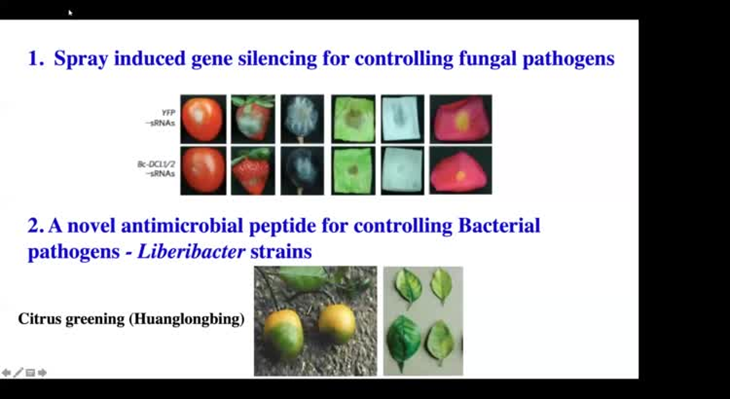 PSLA Seminar Series Spring 2021